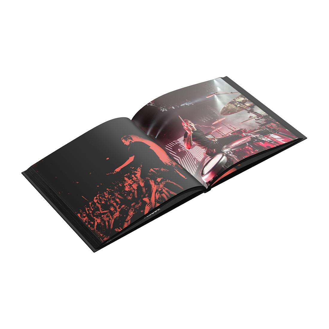 Blurryface (10th Anniversary) Vinyl Coffee Table Book – Twenty One Pilots
